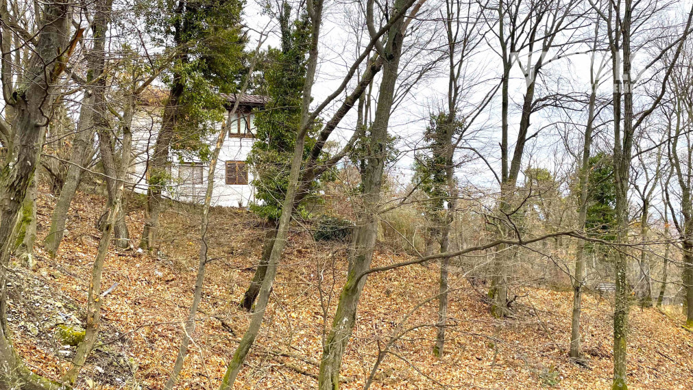 Rekreačný stavebný pozemok, Modra - Harmónia, Badogy | Royals s. r. o.